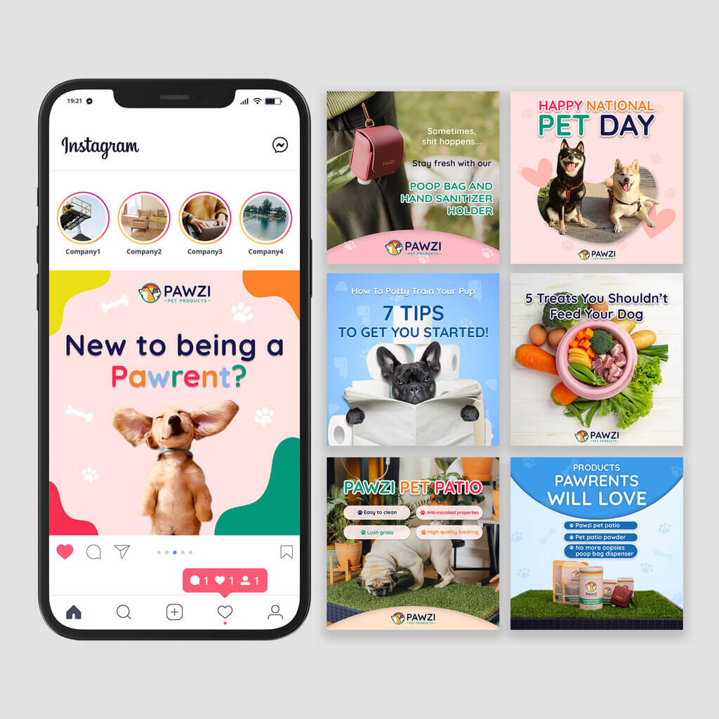 Pawzi Pets - Social Media Creatives - Corsiva Lab Singapore